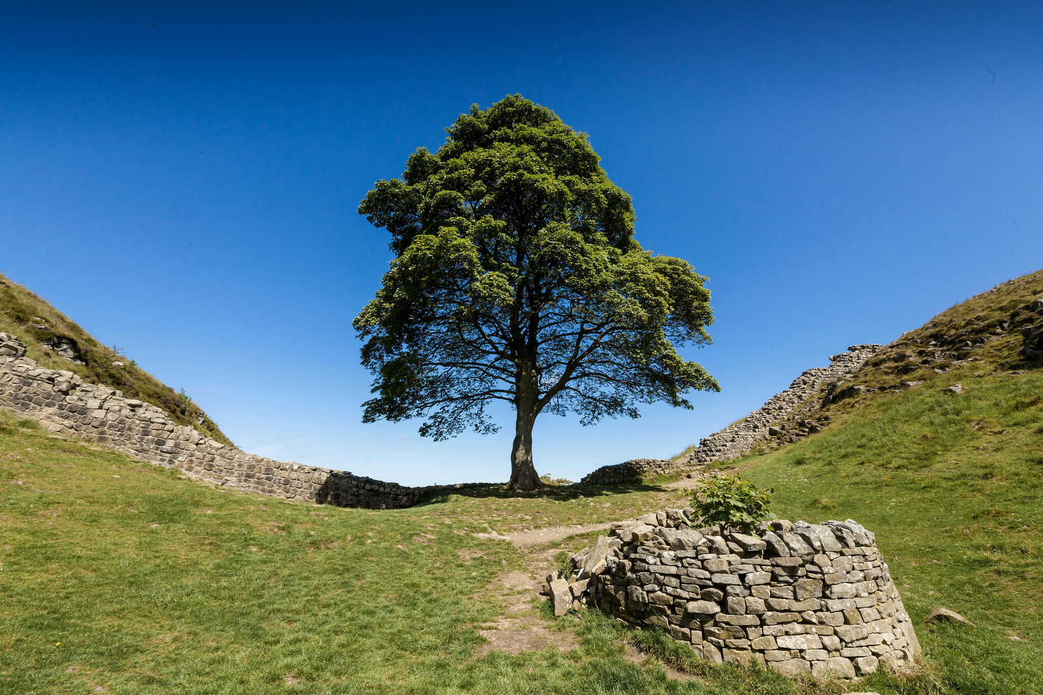 Top 10 des attractions le long du Mur d’Hadrien - Hillwalk Tours ...